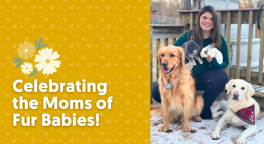 Mother's Day | Pet Moms